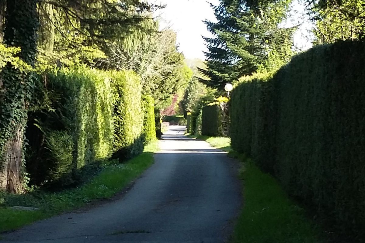 Camping Des Bondons - Seine-et-Marne