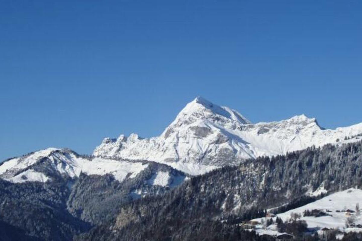 Résidence Les Adrelles - Manigod