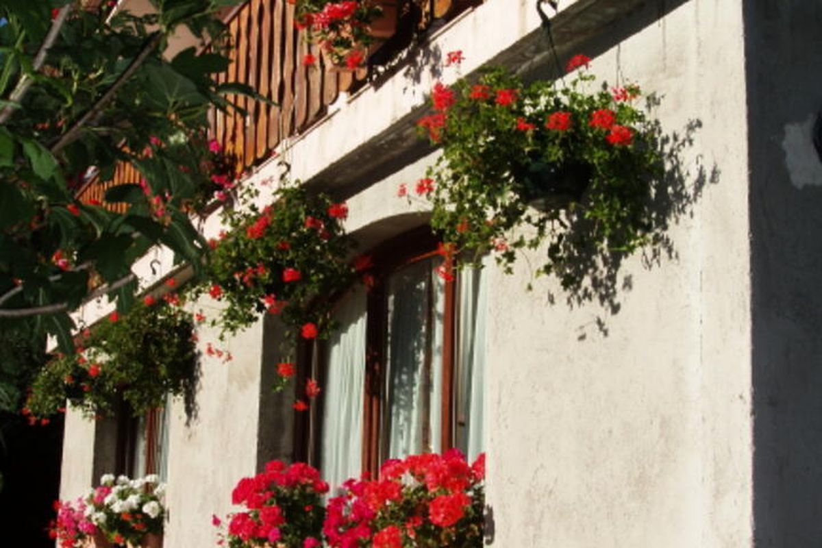 Chalet Les Agneaux - Valmeinier