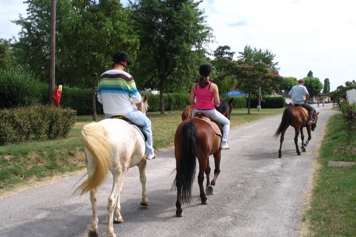 Camping Le Château - Drôme