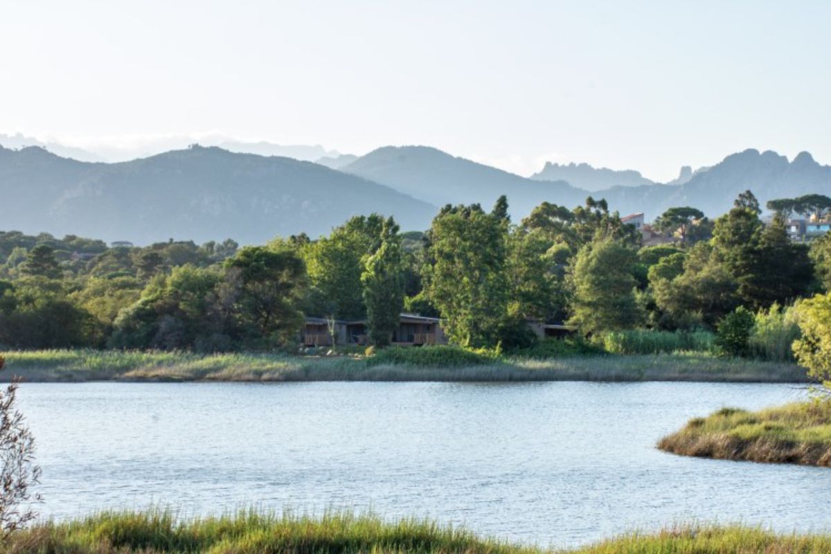 Camping U Pinarellu - Porto-Vecchio