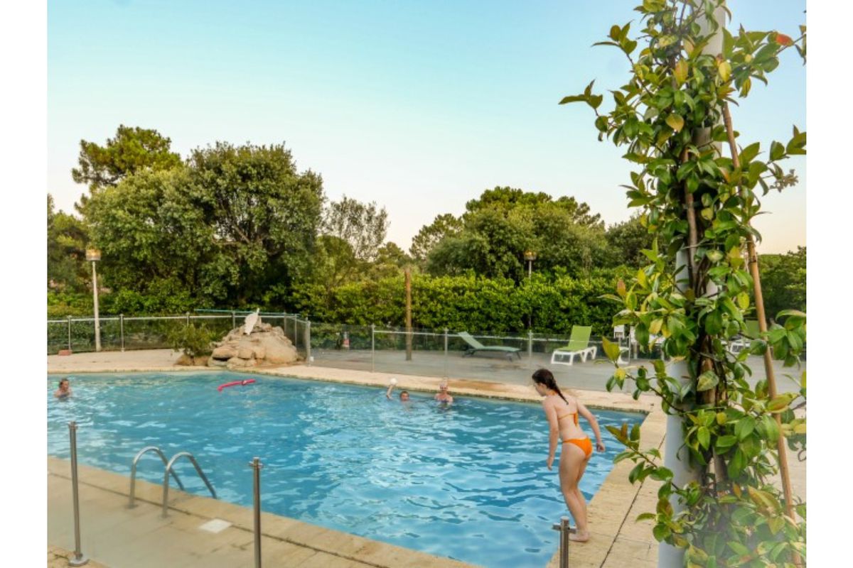 Camping U Pinarellu - Lecci